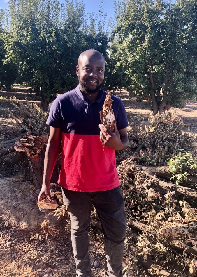 Lab Members – Trouillas Lab – UC Davis